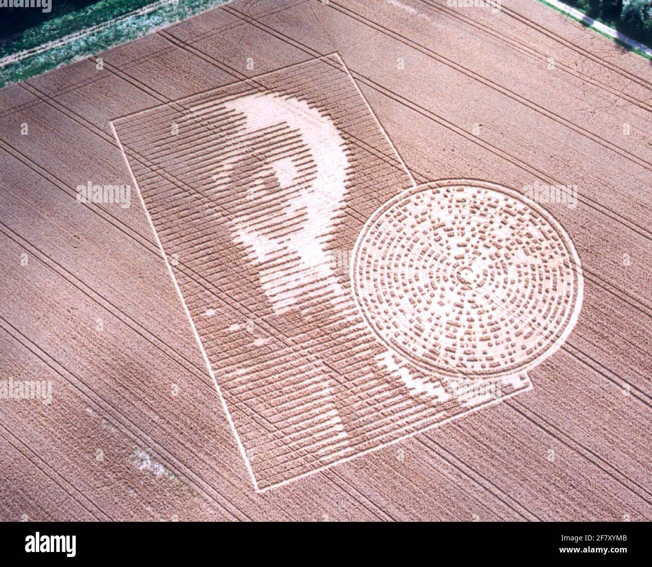 Alien Face Crop Circle