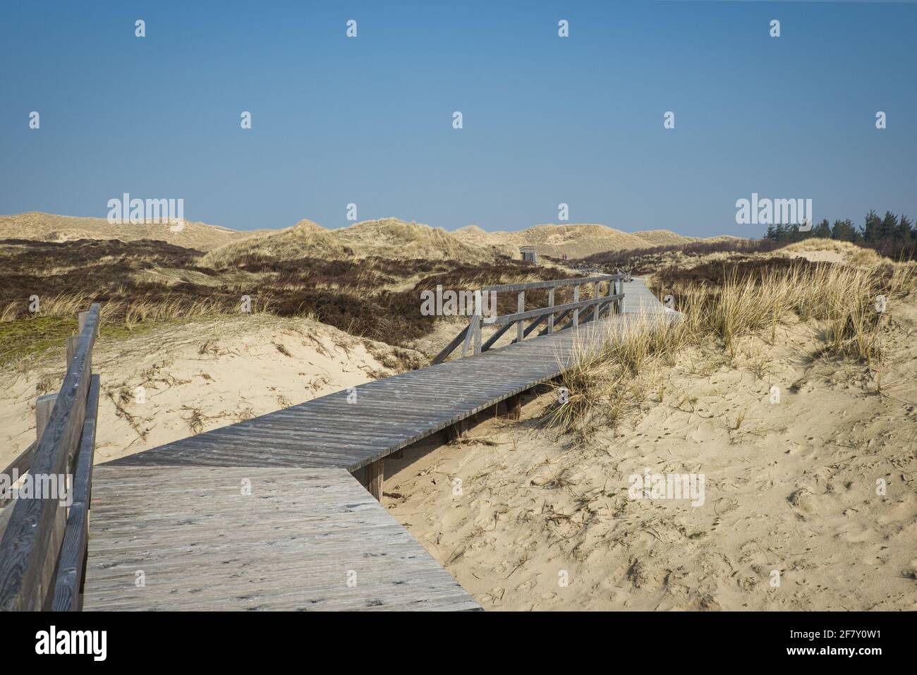 Amrum boardwalk hi-res stock photography and images - Alamy