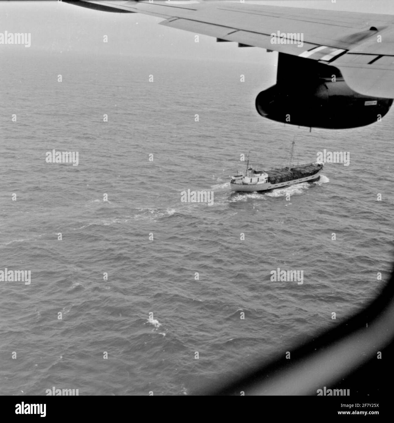 The Dutch Coastal Lizard (1957-1998). IMO 5209883. Ship has sailed ...