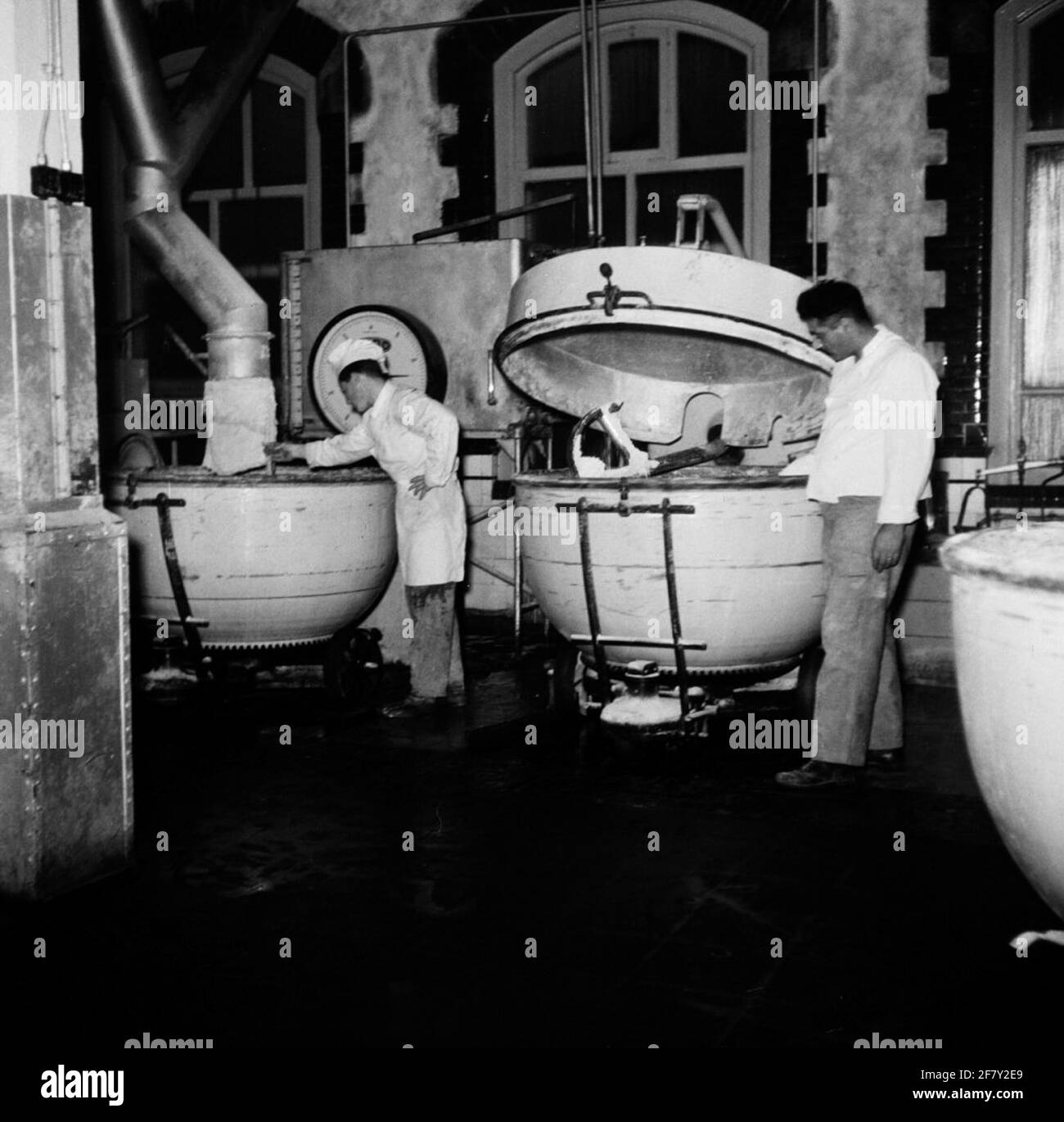 Large-scale production of breads in a factory. Modern machines are used ...