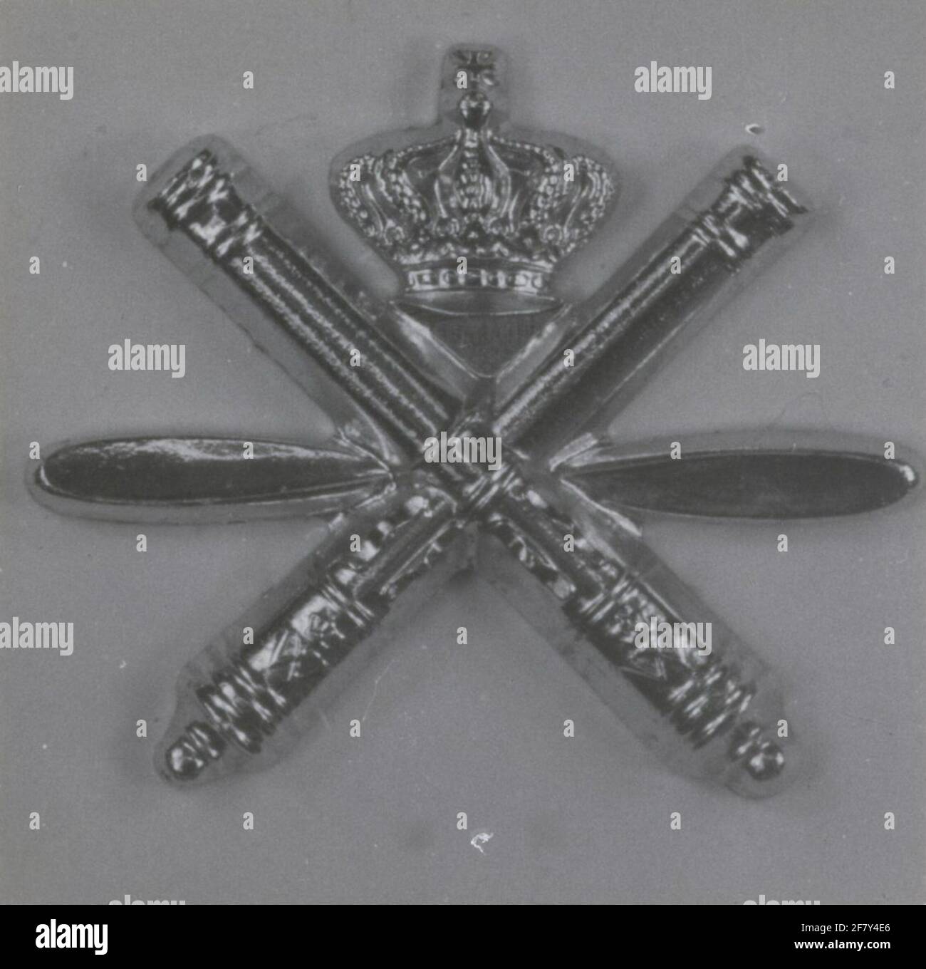 Collar level emblem branch of service of the air dietary corps, from ...