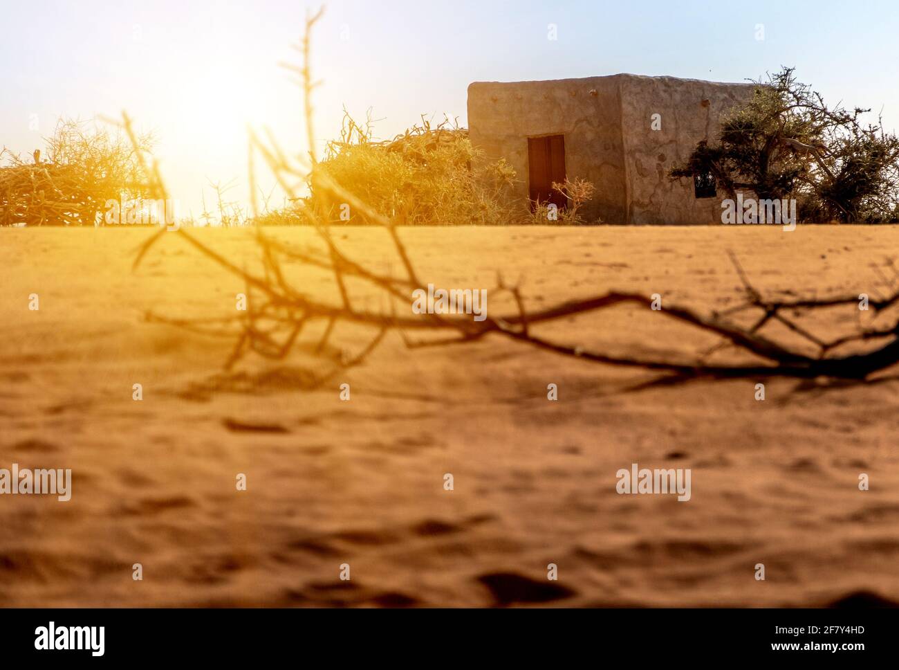 Clay hut in the Sahara desert in Sudan with a parched branch on the dry ...