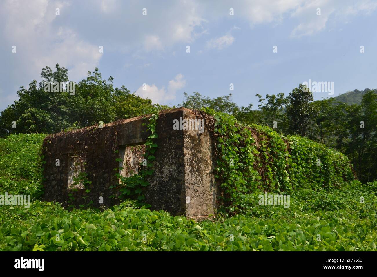 abandoned old unused building inside forest in Kerala Stock Photo - Alamy