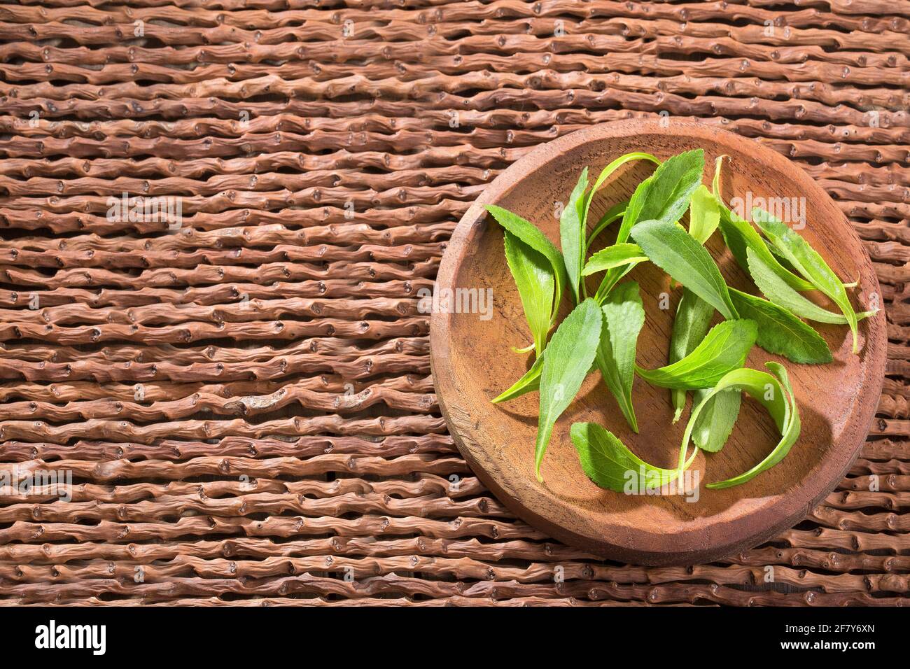 Natural sweetener in powder from stevia plant - Stevia rebaudiana. Top ...