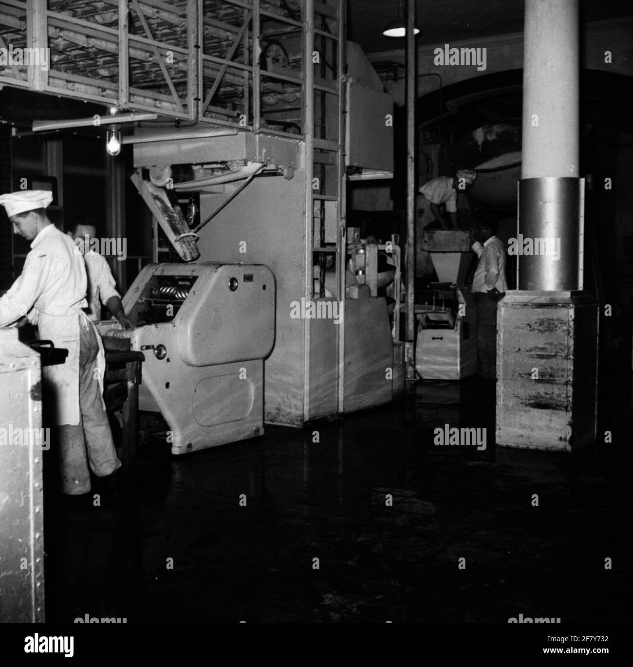 Large-scale production of breads in a factory. Modern machines are used ...