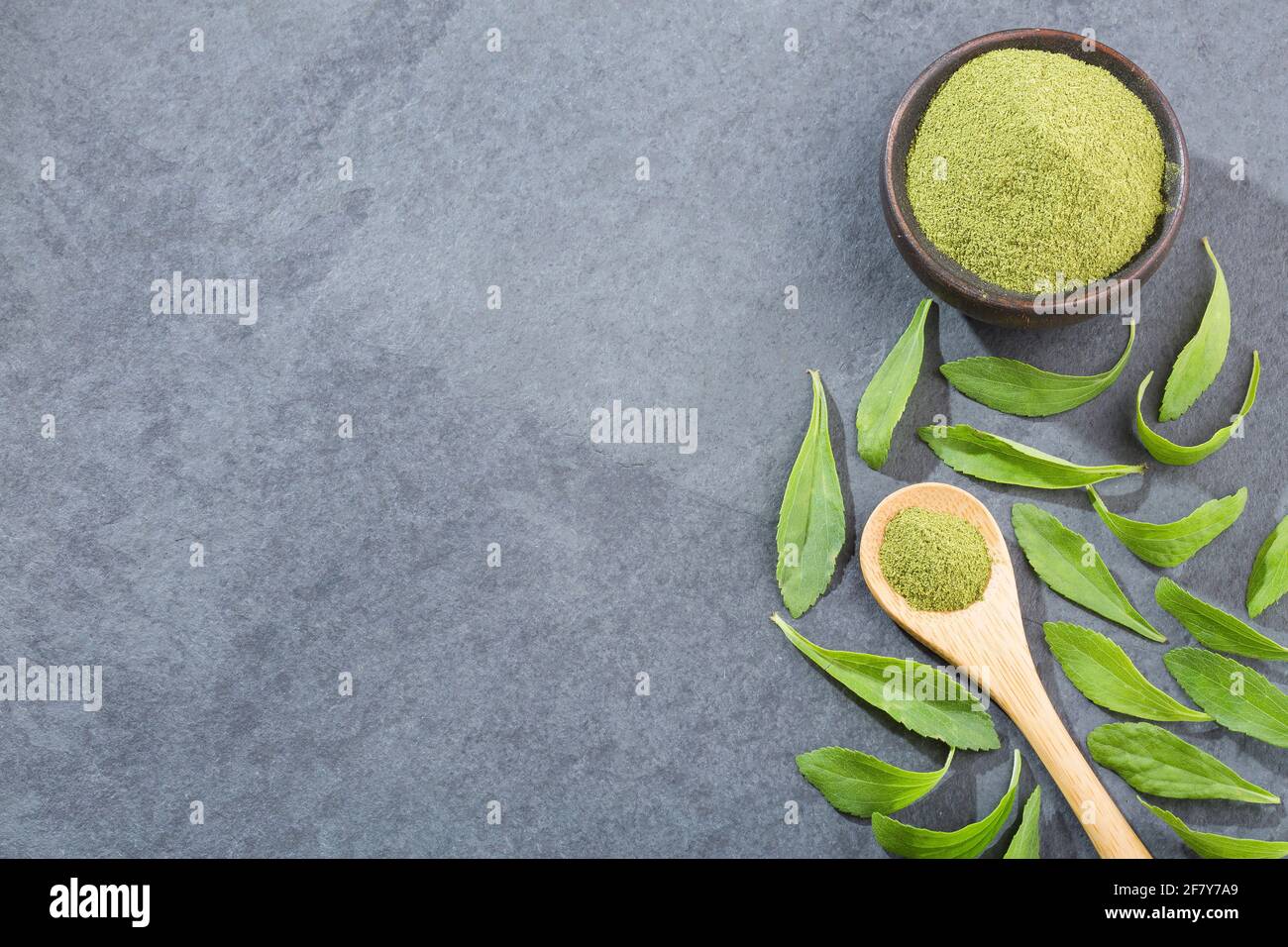 Natural sweetener in powder from stevia plant - Stevia rebaudiana. Top ...