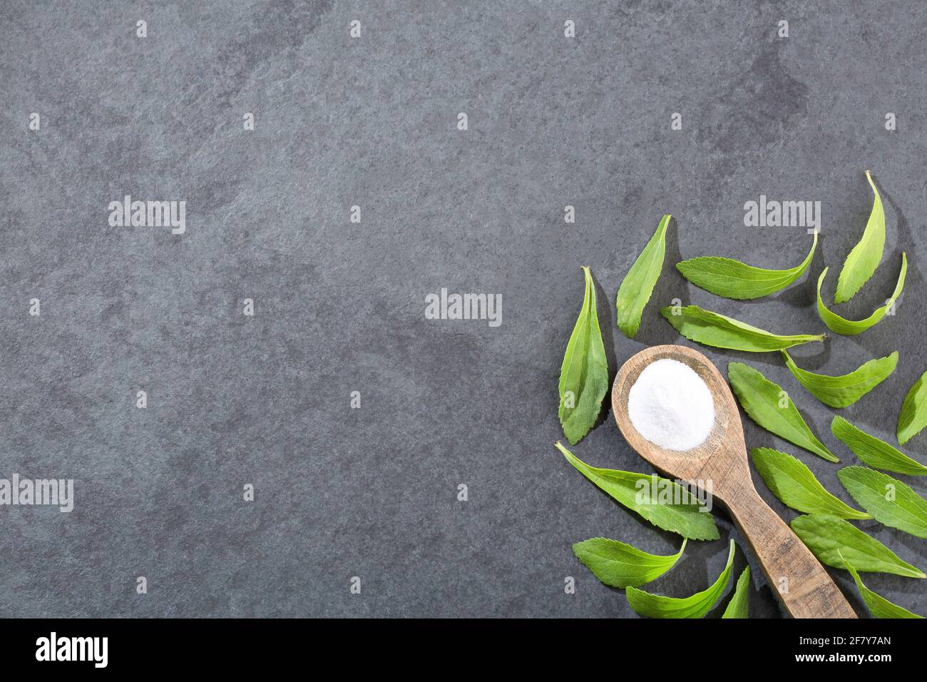 Natural sweetener in powder from stevia plant - Stevia rebaudiana. Top ...