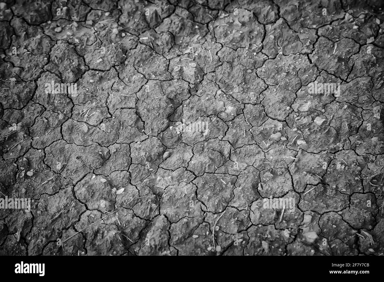 Detail of drought and climate change, desolation and destruction Stock ...