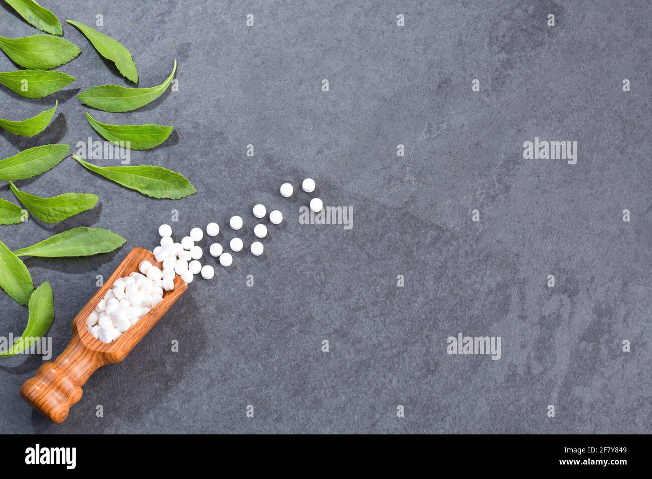 Natural sweetener in powder from stevia plant - Stevia rebaudiana. Top ...