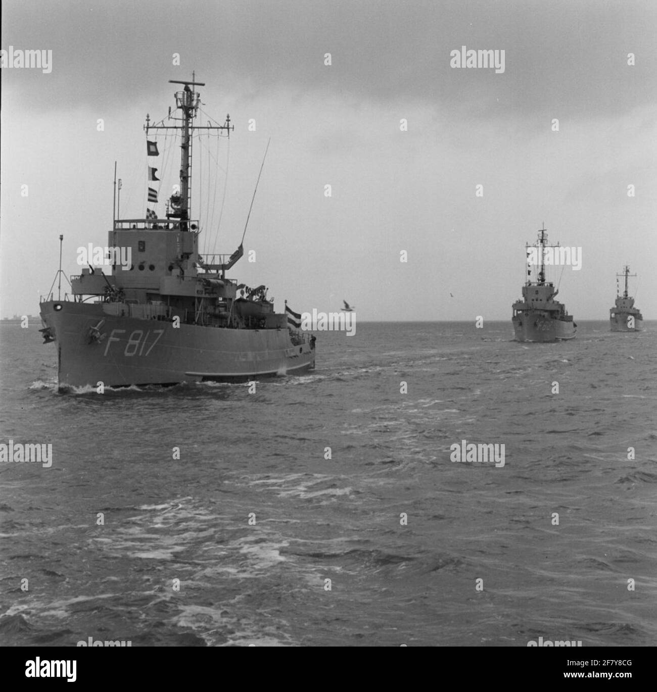 Predator class hi-res stock photography and images - Alamy