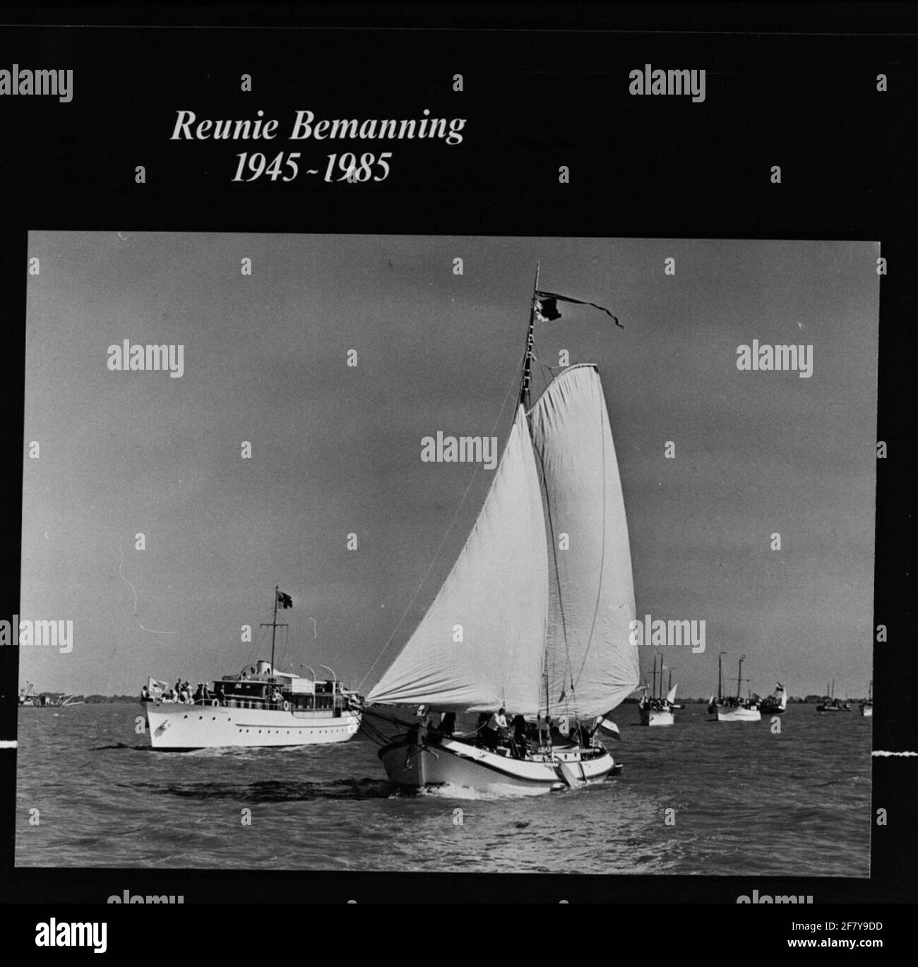 Groene draeck hi-res stock photography and images - Alamy