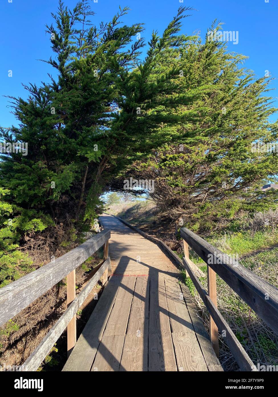 Cambria Beach Boardwalk, California central coast. Photo by Jennifer ...
