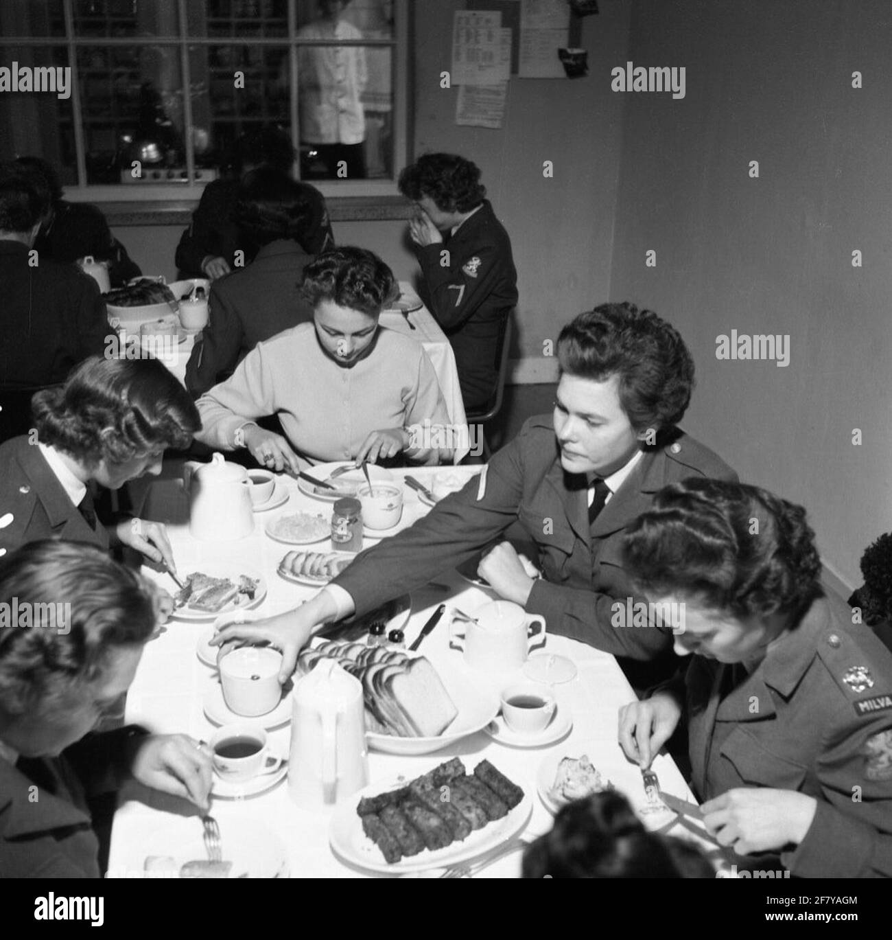 Vious hi-res stock photography and images - Alamy