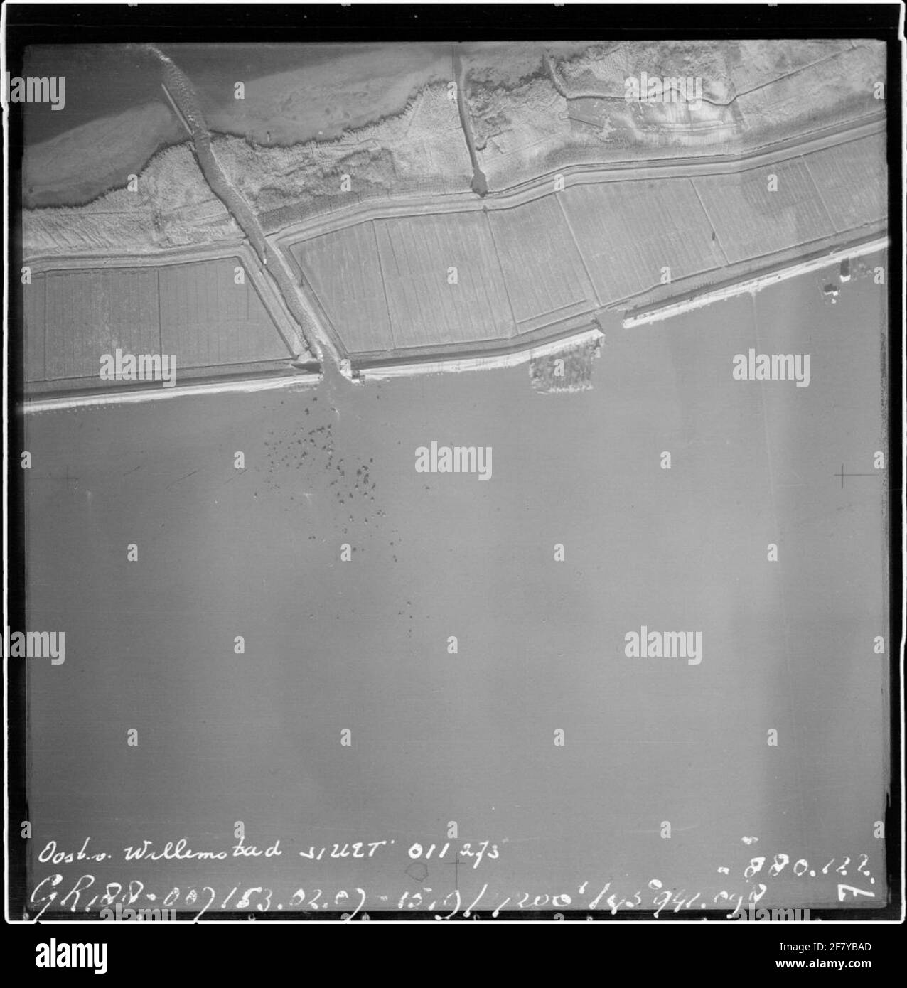 Water disaster 1953 air photo of a part of the area affected by the ...