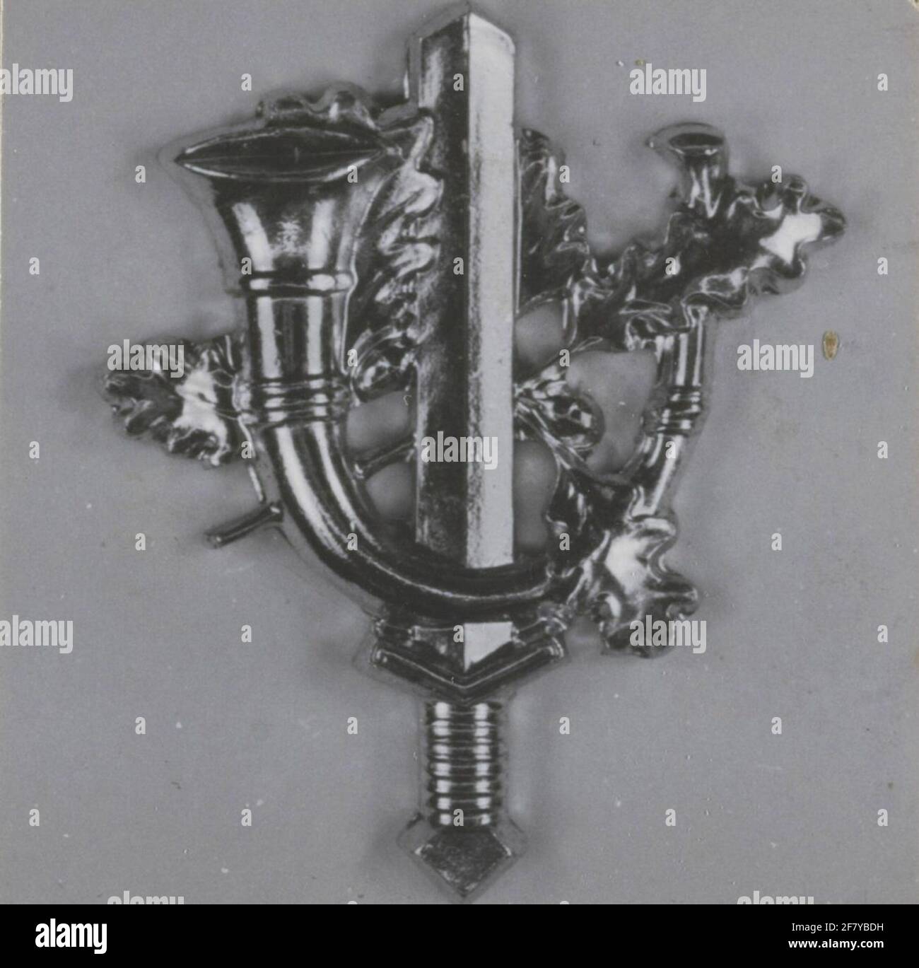 Collar level emblem branch of service, Infantry regiment "Limburg ...