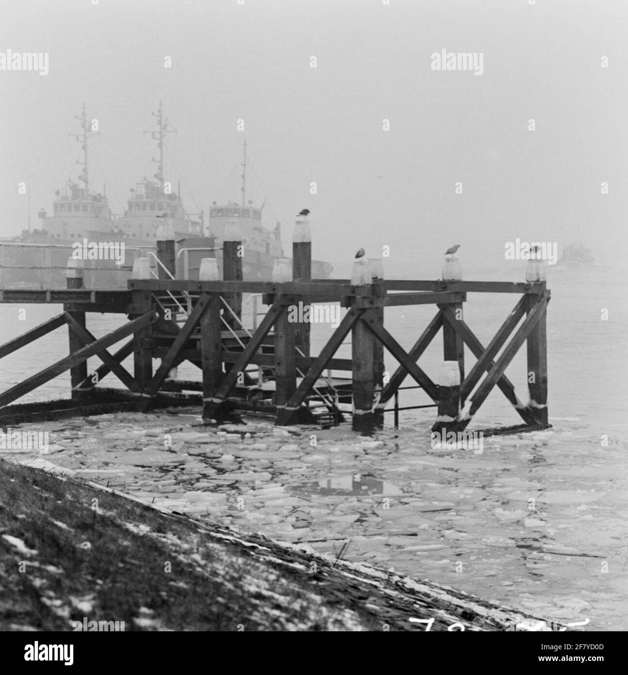 Snow den Black and White Stock Photos & Images - Alamy