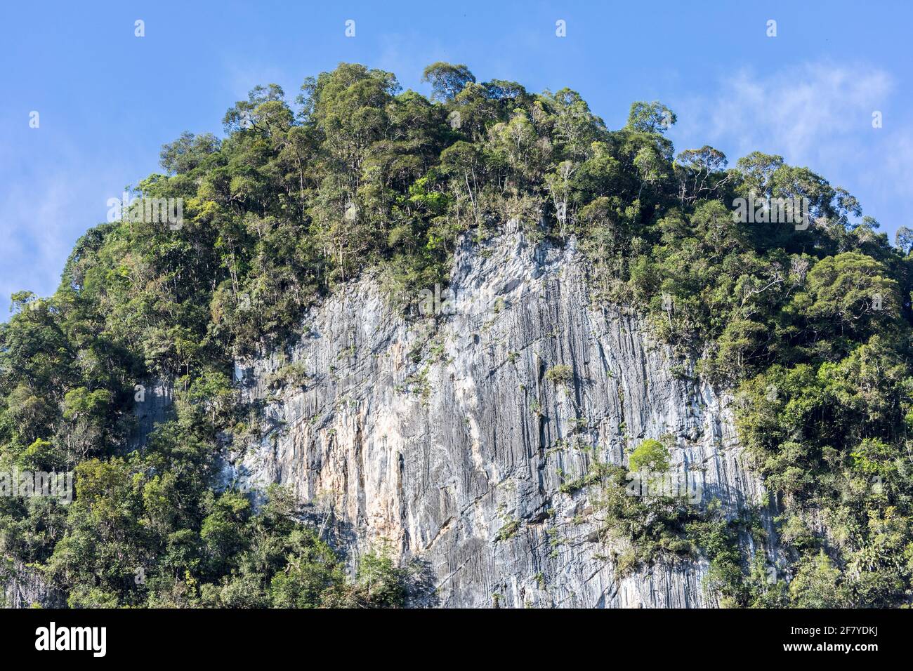 Limestone cliffs in rainforest near Deer Cave, Mulu, Malaysia Stock ...