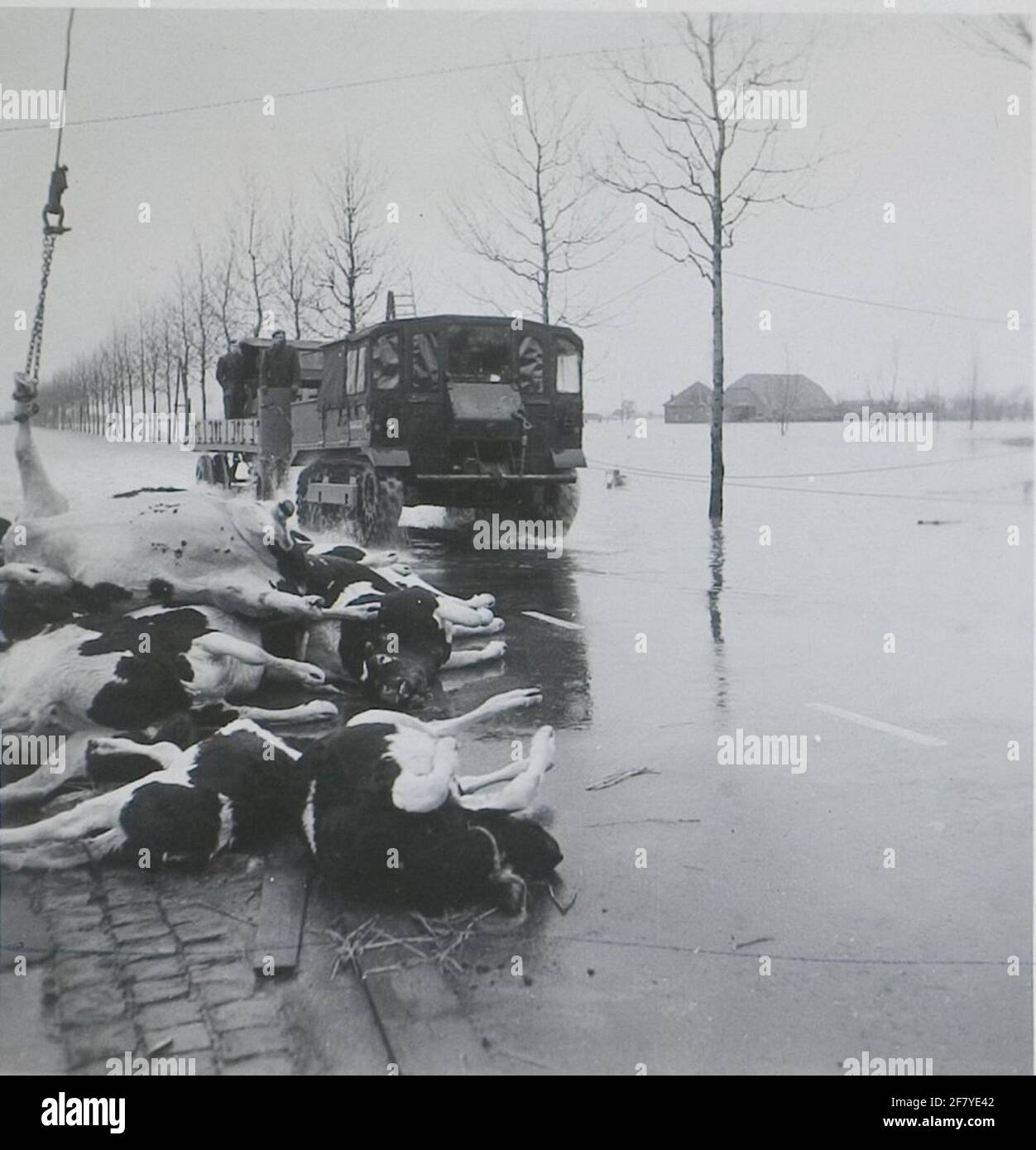 Dutch water shortage hi-res stock photography and images - Alamy