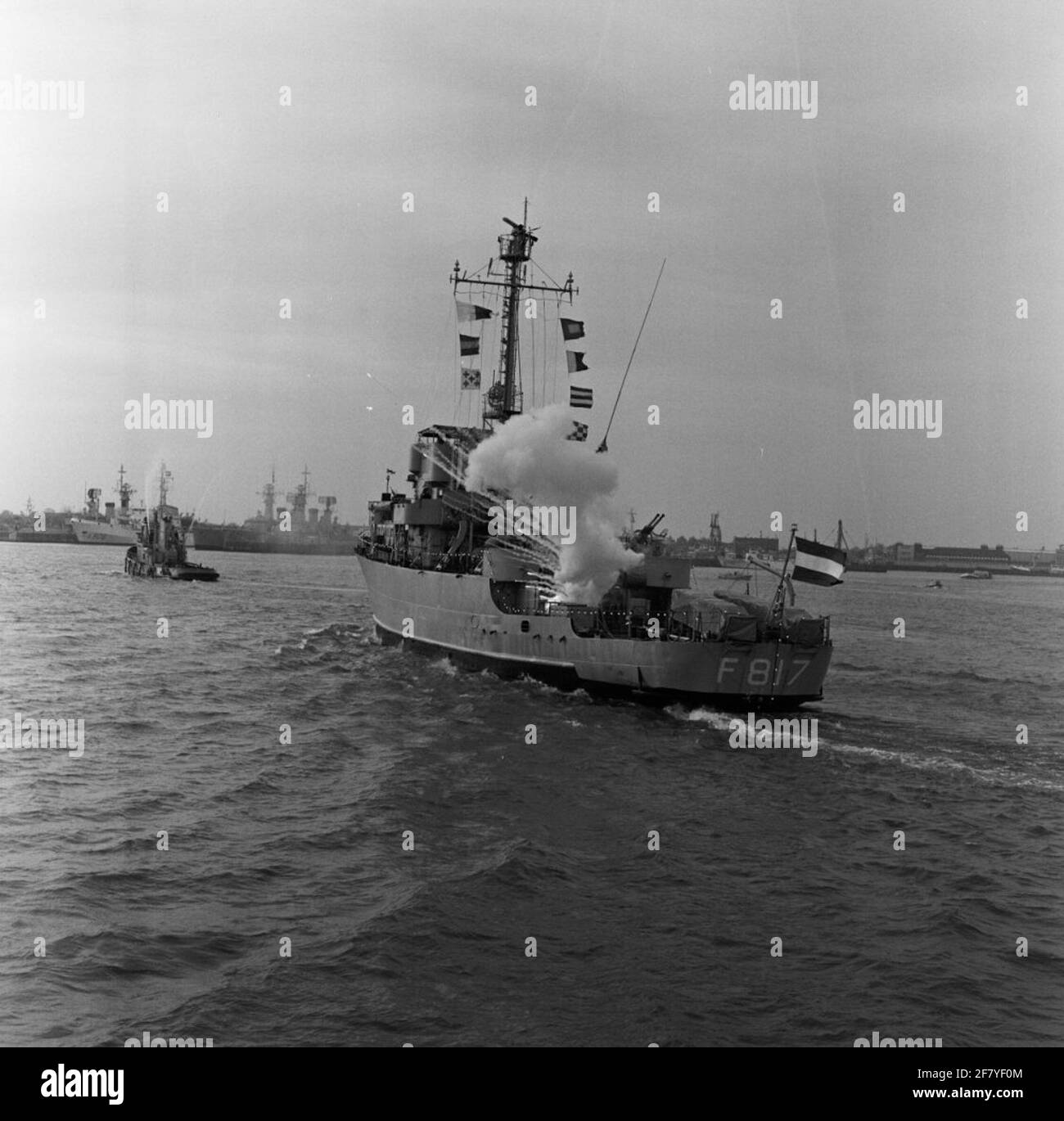 Ms wolf hi-res stock photography and images - Alamy