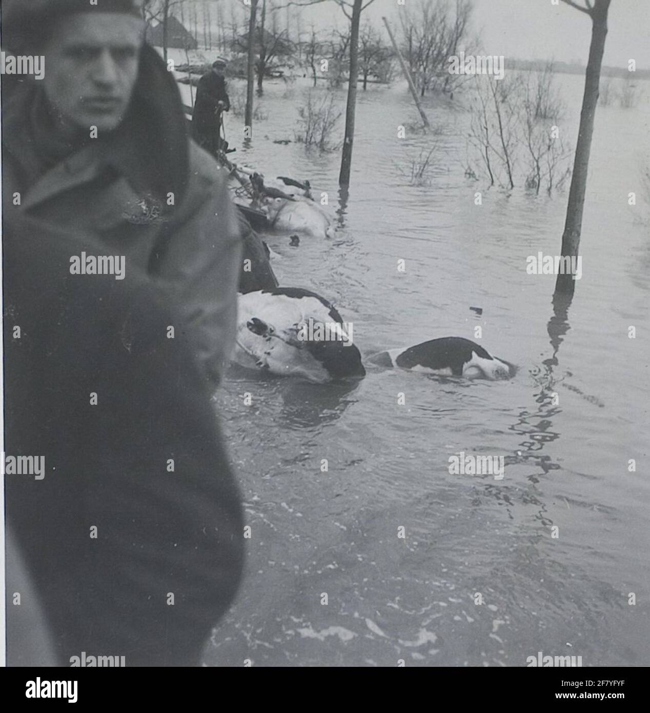 Water shortage 1953 Stock Photo - Alamy