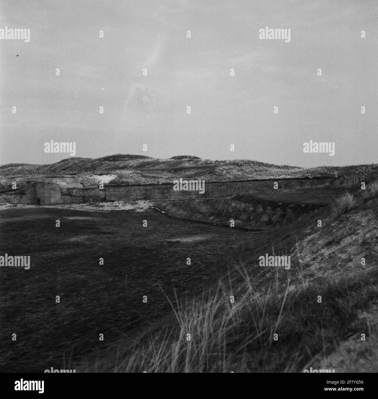 Nazi dragon Black and White Stock Photos & Images - Alamy