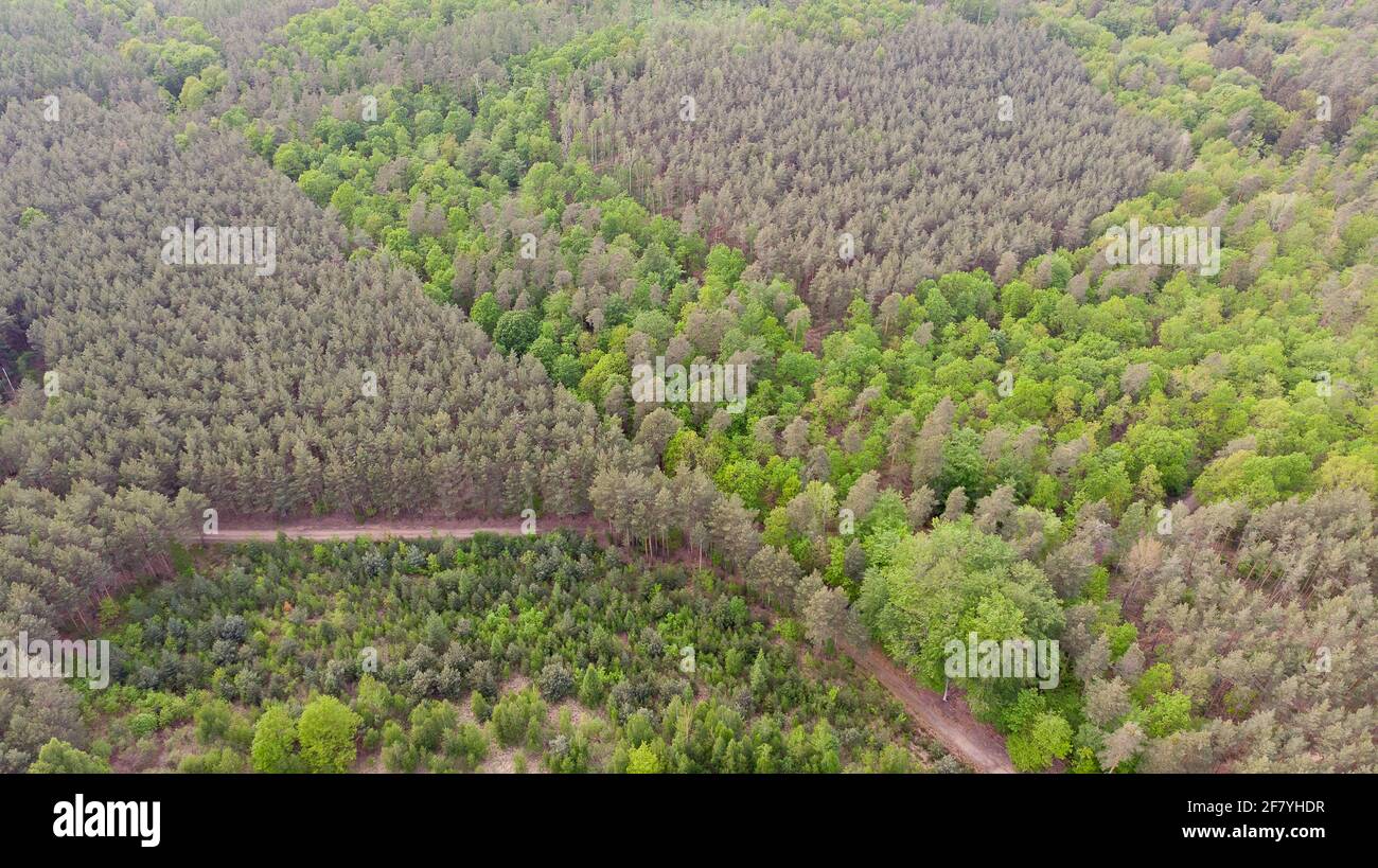 Aerial view of a landscape with beautiful greenery in Germany Stock ...