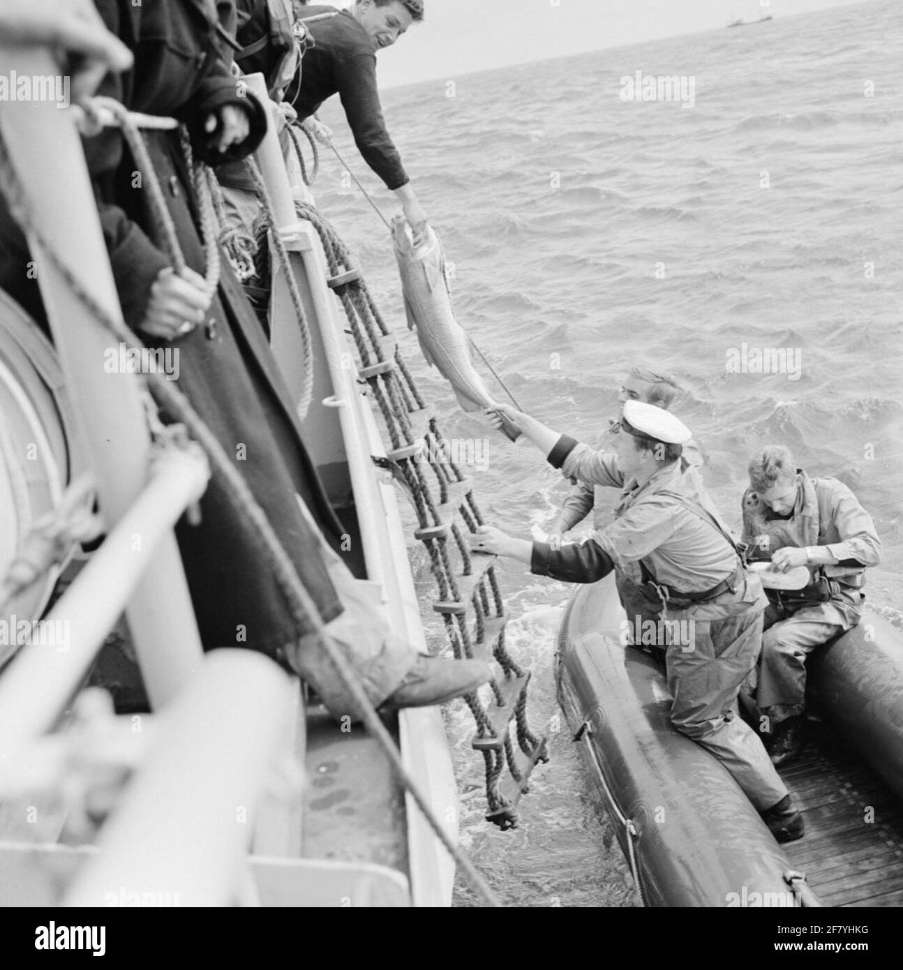 Fishing inspection in the North Sea with the frigate of predator class ...