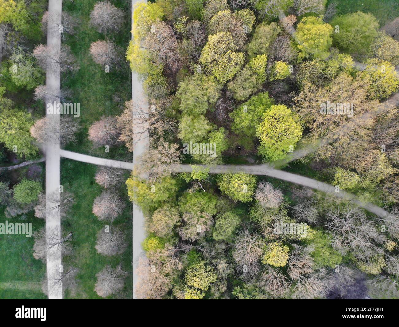 Aerial view of a landscape with beautiful greenery in Germany Stock ...