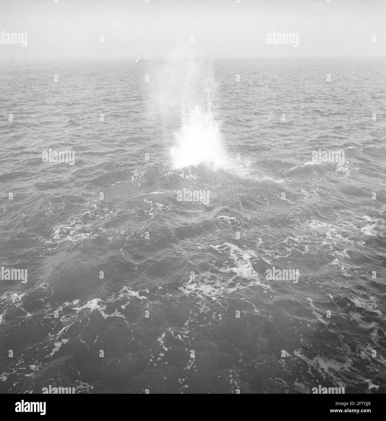 Indonesian vessel Black and White Stock Photos & Images - Alamy