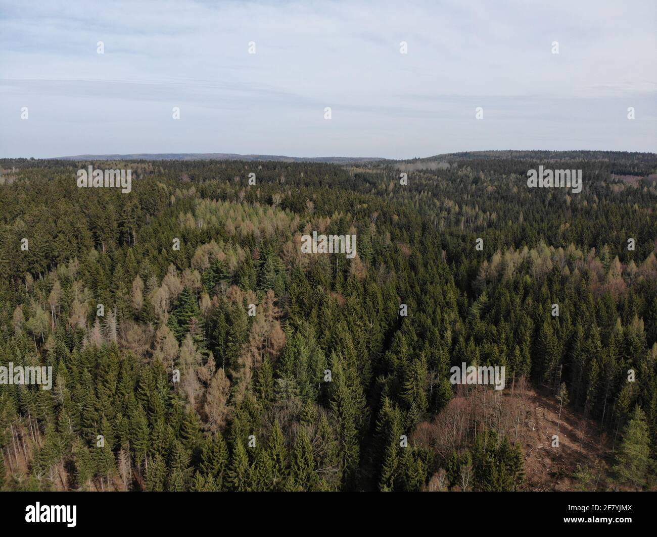 Aerial view of a landscape with beautiful greenery in Germany Stock ...