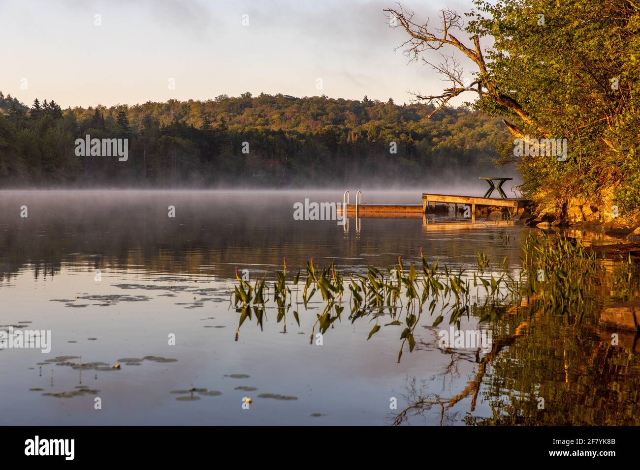 Perfect morning fog reflection lake hi-res stock photography and images ...