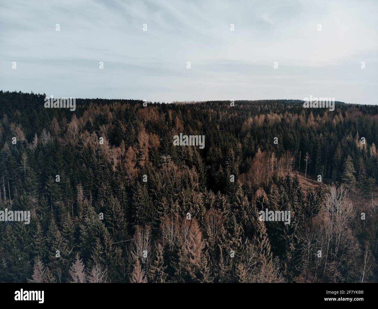 Aerial view of a landscape with beautiful greenery in Germany Stock ...