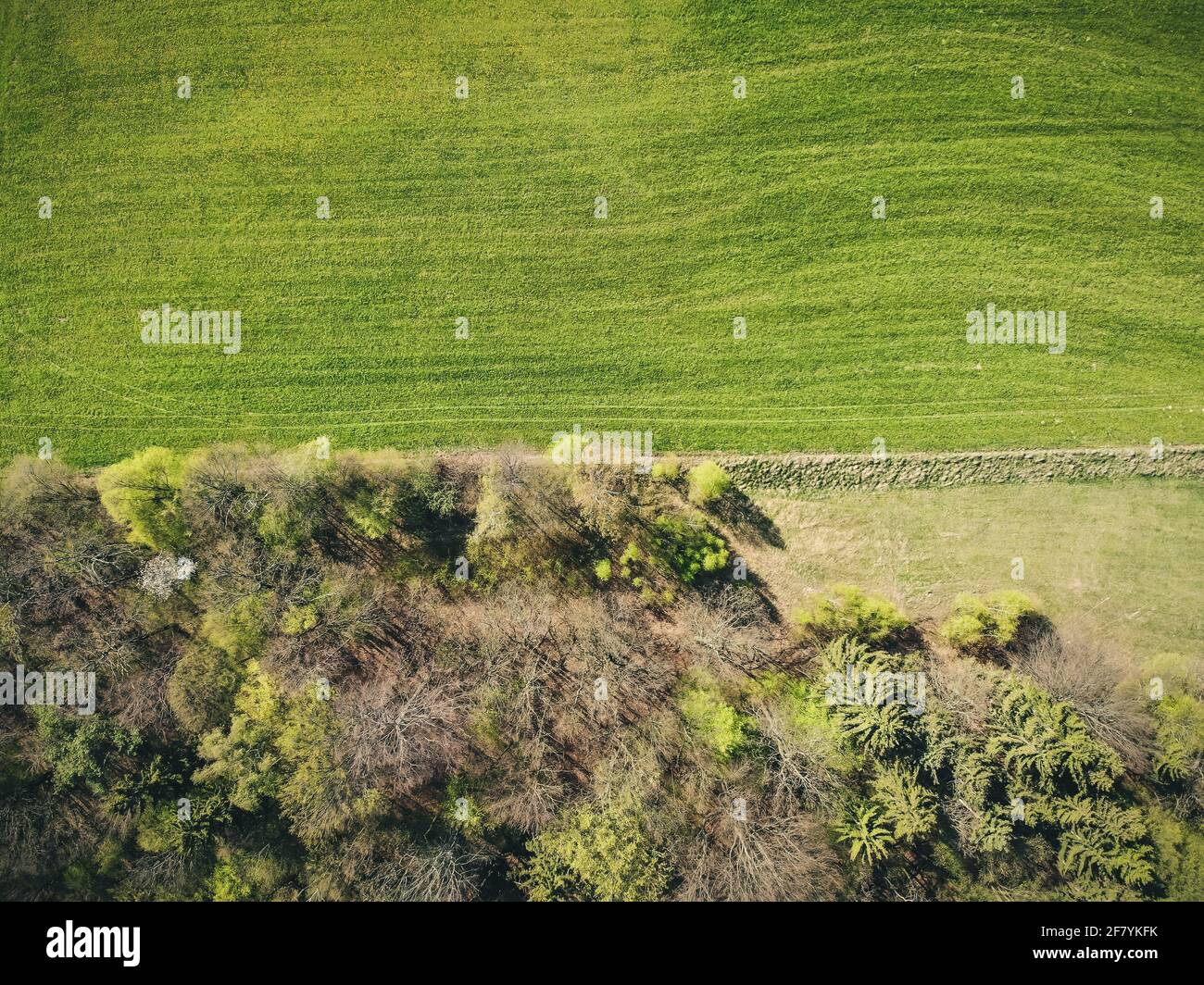 Aerial view of a landscape with beautiful greenery in Germany Stock ...