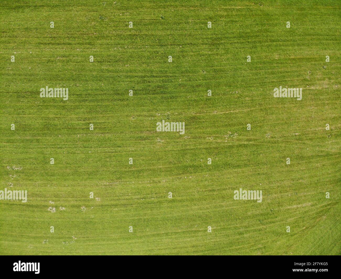 Aerial view of a landscape with beautiful greenery in Germany Stock ...