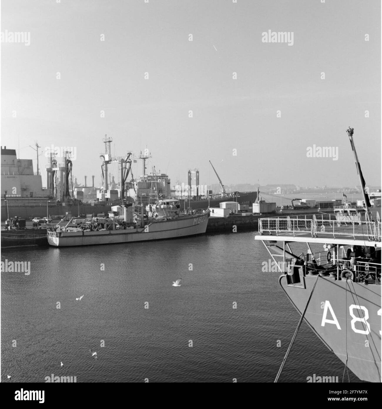 Panorama photo of the new port. On the hr.msight ground. Zuiderkruis ...