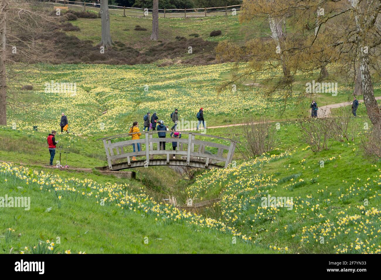 Valley garden windsor great park hi-res stock photography and images ...