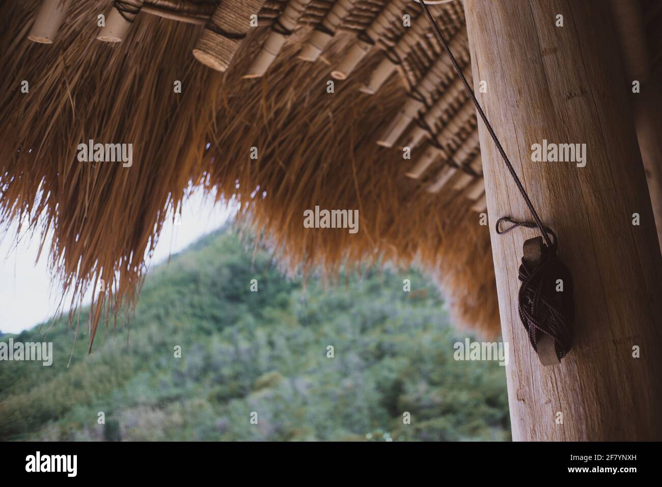 Tropical woven roof hi-res stock photography and images - Alamy