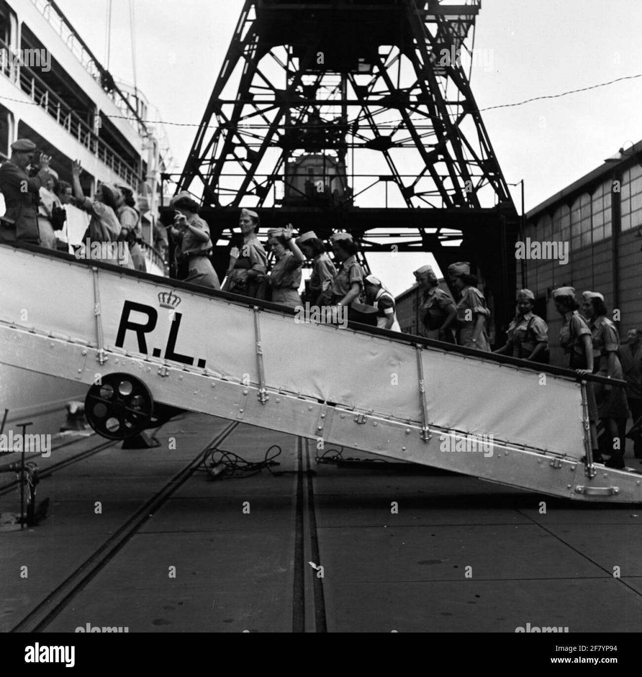 Willem ruys hi-res stock photography and images - Alamy