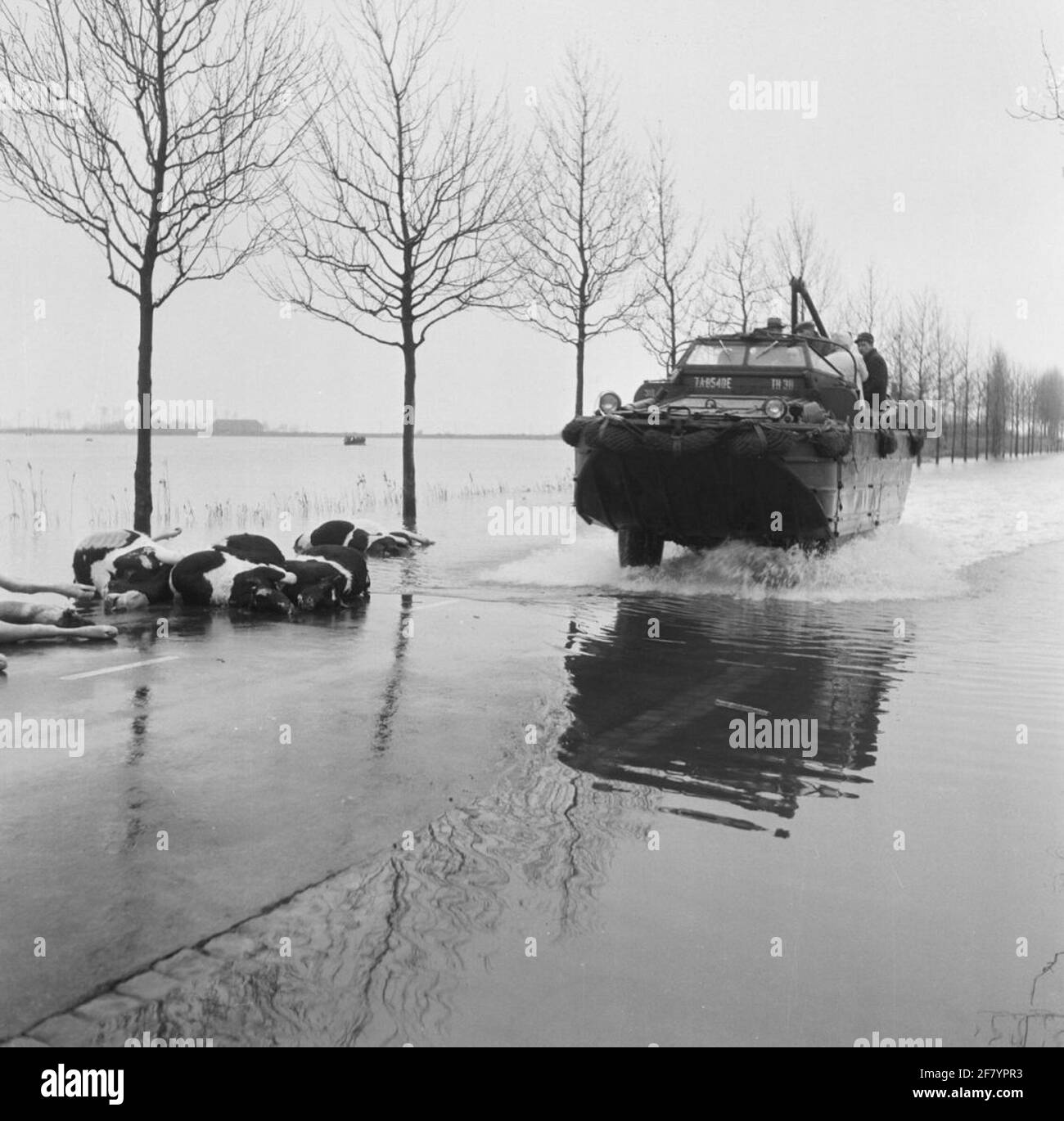 Watersnoodramp 1953 hi-res stock photography and images - Alamy