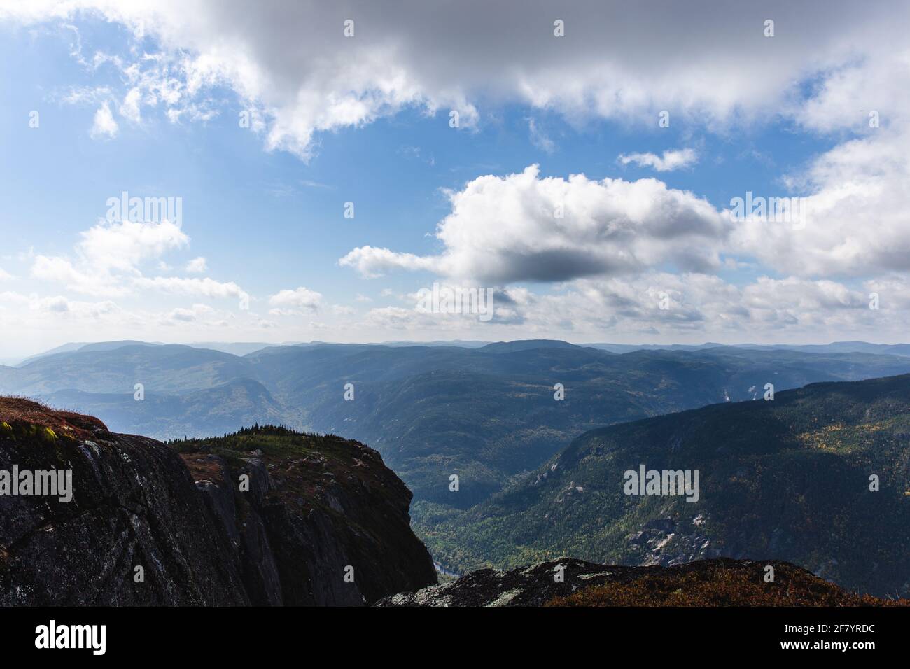 Round top forest reserve hi-res stock photography and images - Alamy