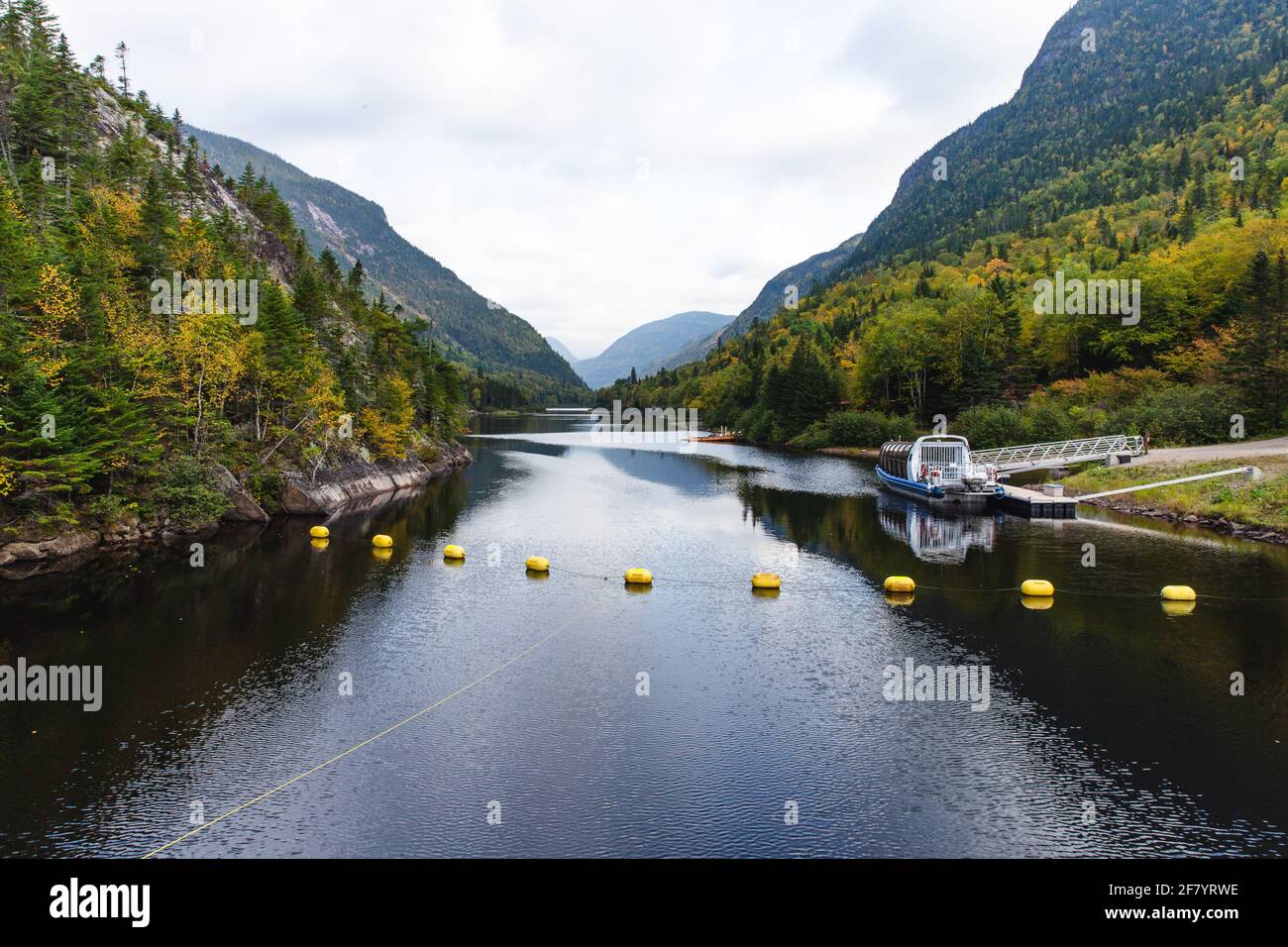 calm river in the middle of a valley surrounded by a forest and ...