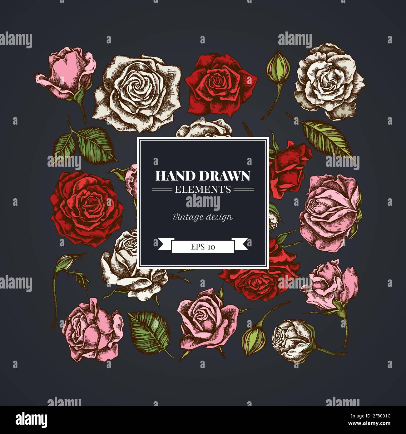 Square floral design on dark background with roses Stock Vector Image ...