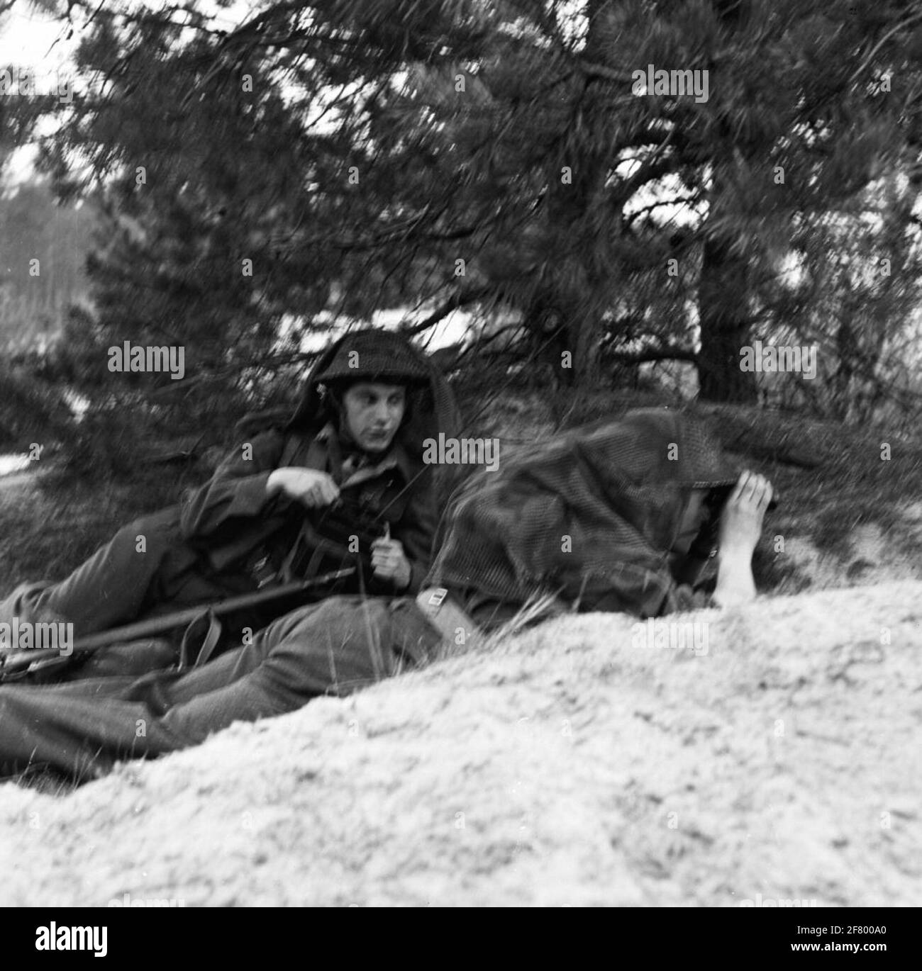 Right wing dutch infantry hi-res stock photography and images - Alamy