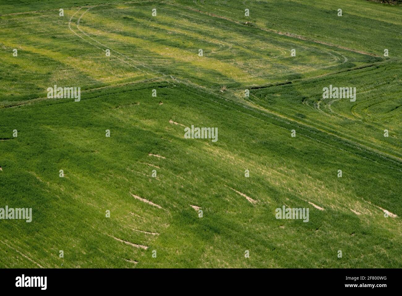 Agricultural field view, efficient farming of organic crops . Farmland ...