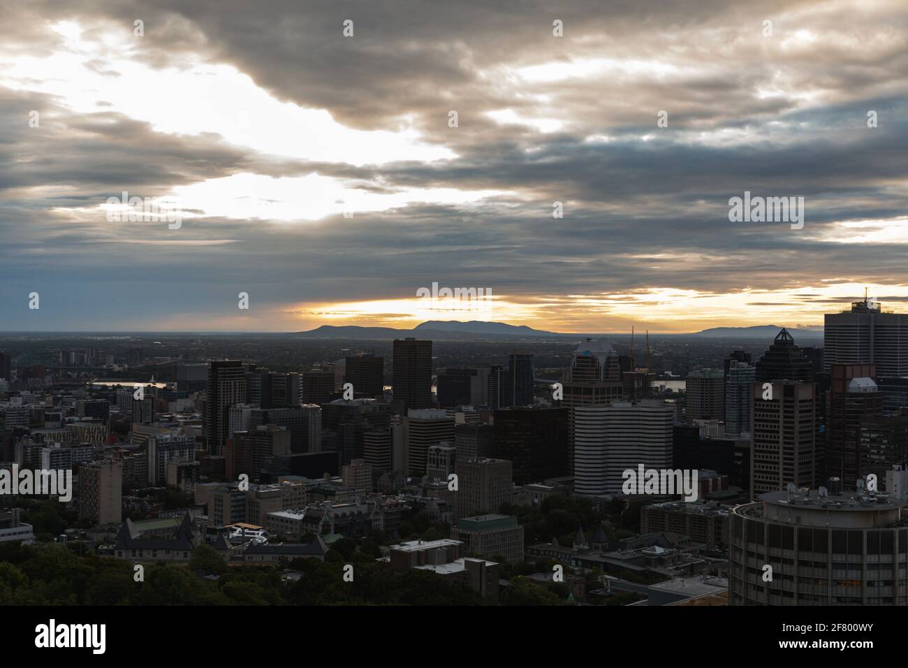 city with tall buildings on a sunrise Stock Photo - Alamy