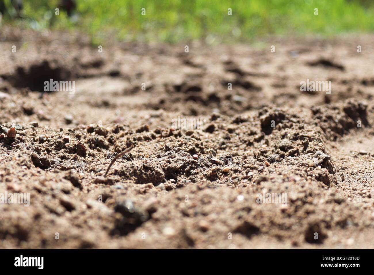 Macro ground perspective of a sandy road Stock Photo - Alamy