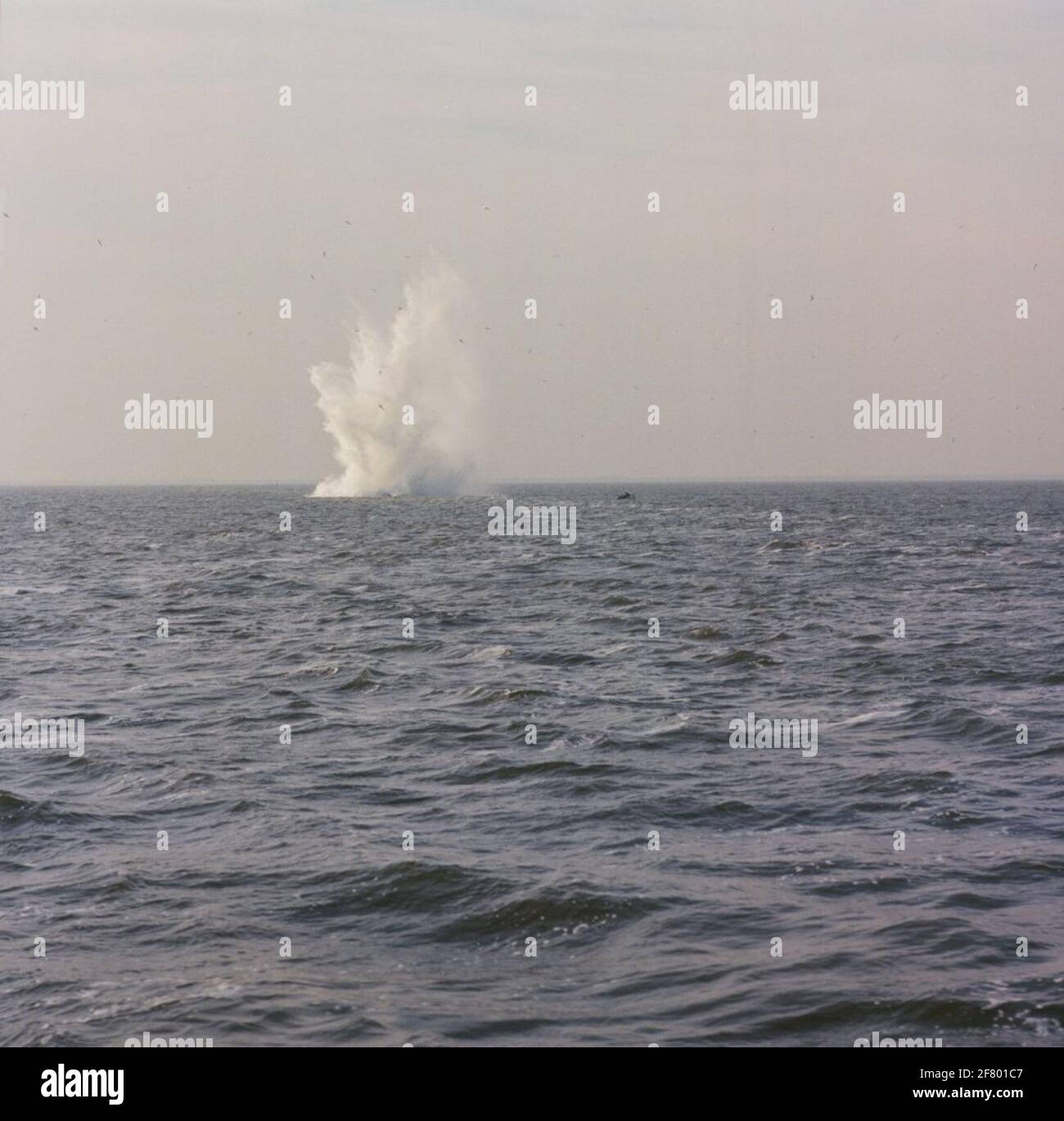 Photo of a remote jump (explode) from a marine line Stock Photo - Alamy