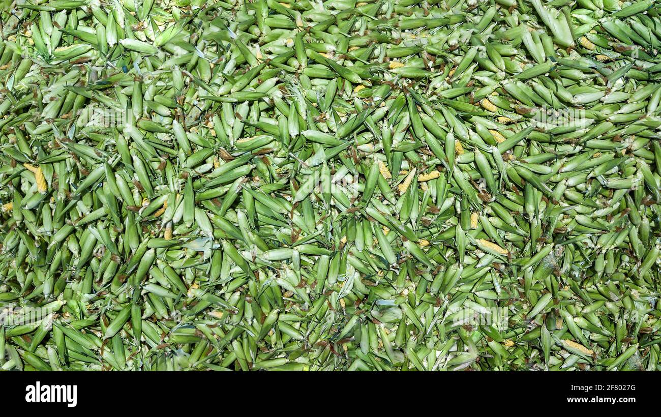 Sweetcorn corn food hi-res stock photography and images - Alamy