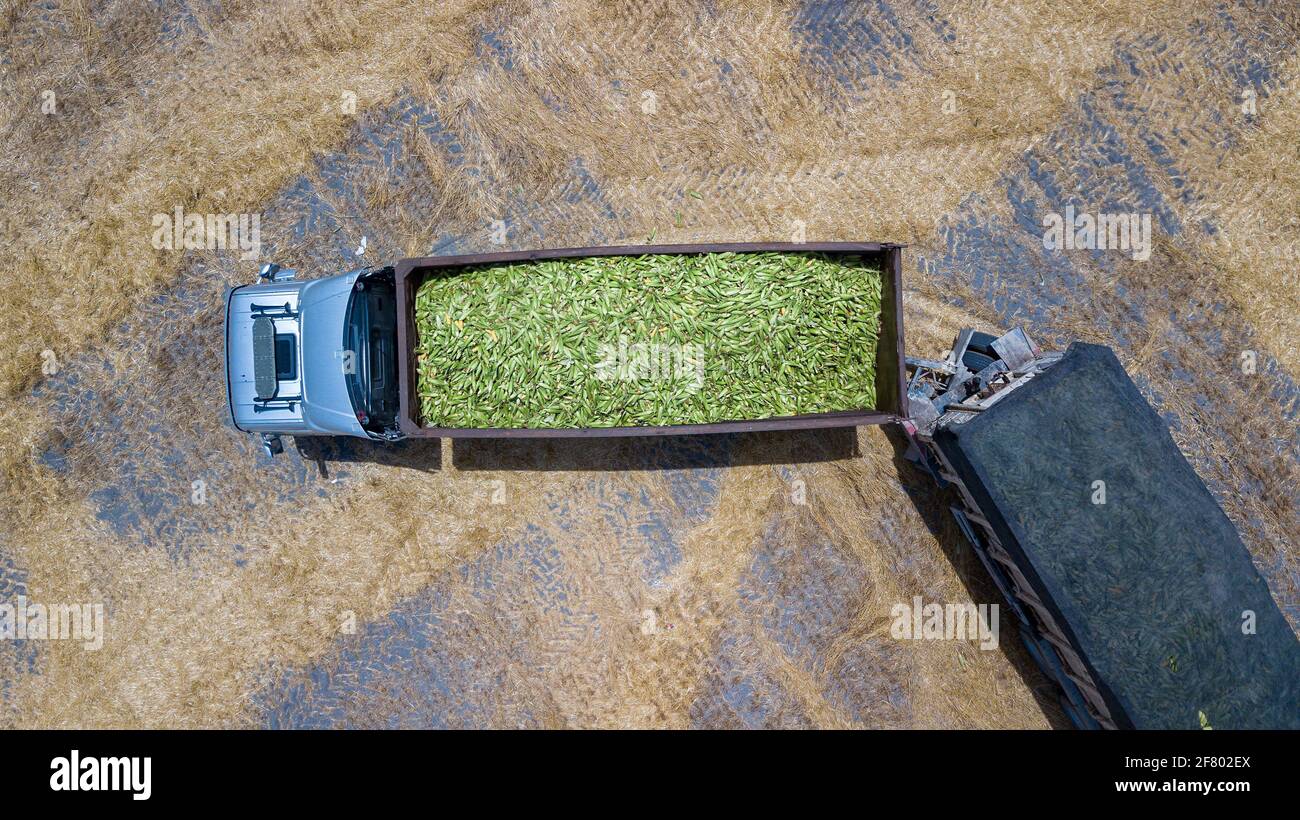 Truck farm vegetable harvest hi-res stock photography and images - Alamy