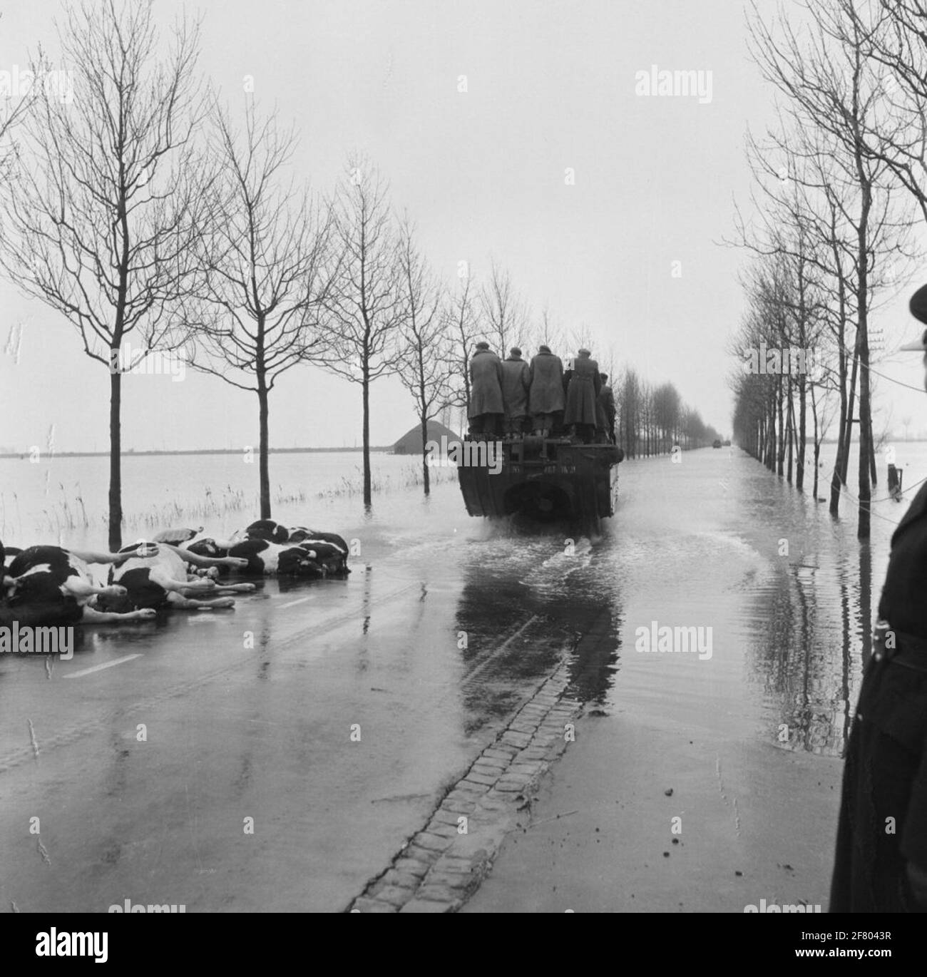 Water release disaster 1953 Stock Photo - Alamy